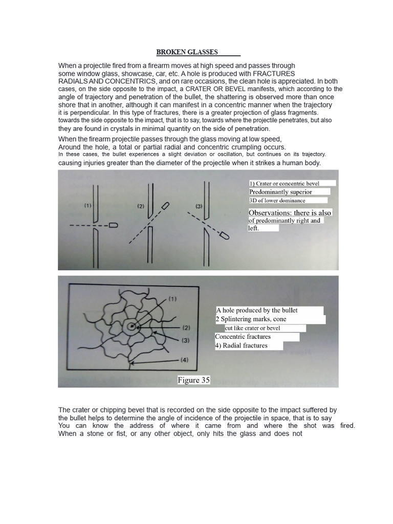 Fractured Glass Forensic Engineering | PDF | Bullet | Glasses