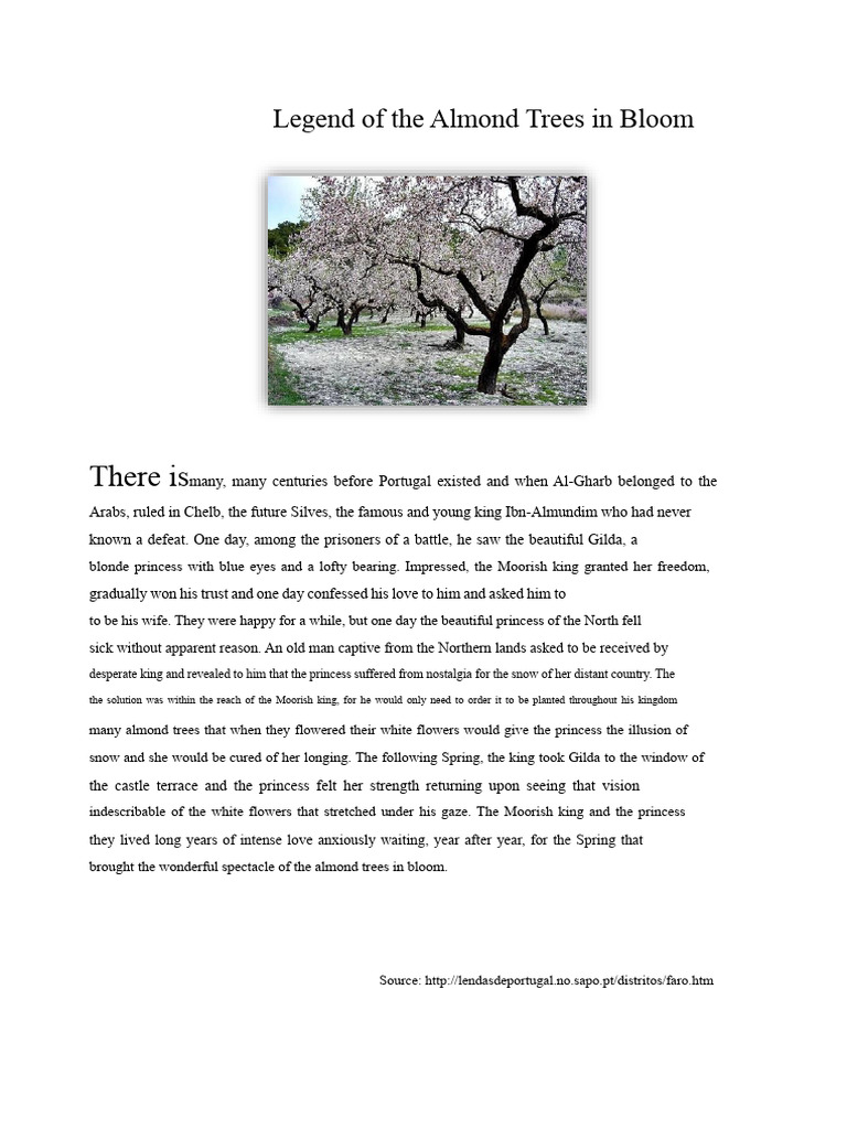 Legend of The Almond Trees in Bloom | PDF