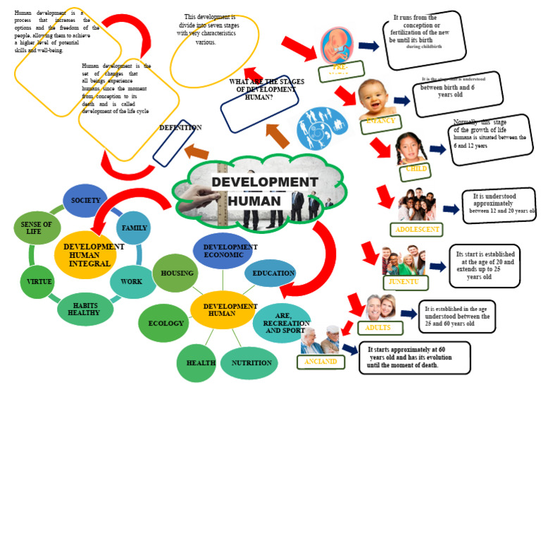 infographic of human development | PDF | Adults | Adolescence