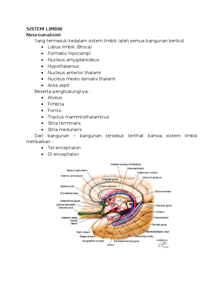 Sistem Limbik 2 | PDF