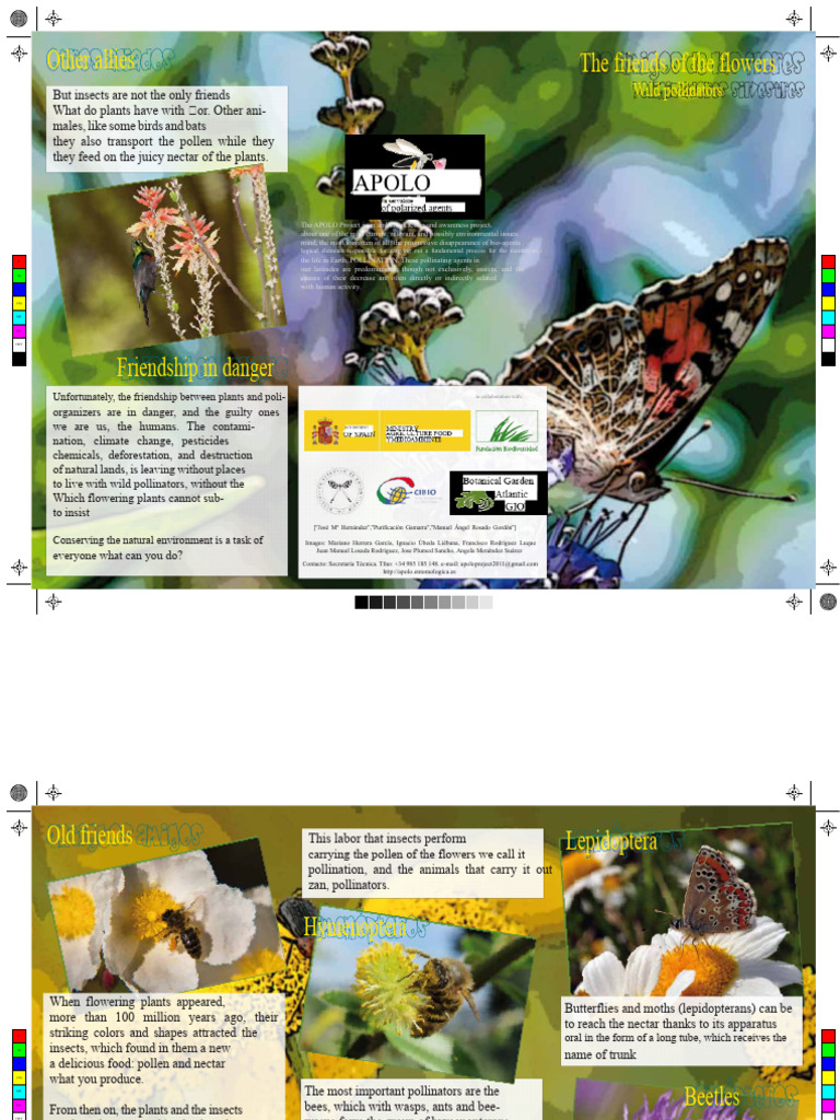 Protecting Pollinators: A Call to Action | PDF | Pollinators | Pollination