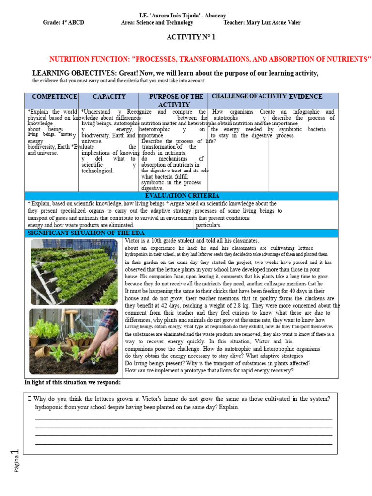 ACTIVITY 1 - EDA 3 WEEK 1 CYT Explain 2023 The Function of Nutrition ...