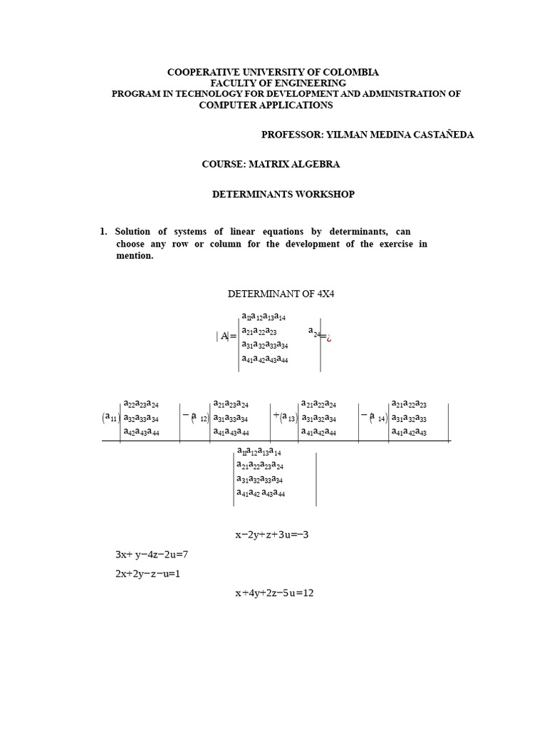 Workshop Determinants 4x4-Cramer | PDF | Determinant | Matrix (Mathematics)