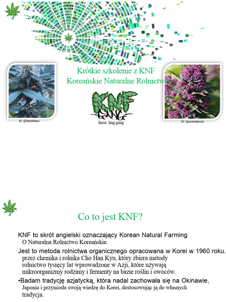 Krótki kurs KNF | PDF