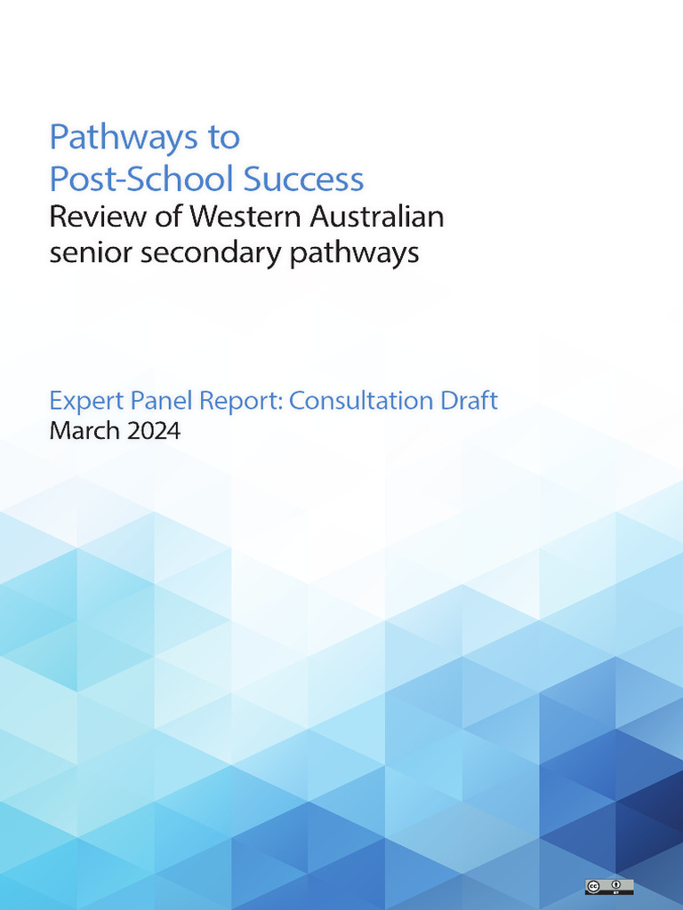 Expert+Panel+Report+Consultation+DraftPDF_240516_091506 (2) | PDF ...
