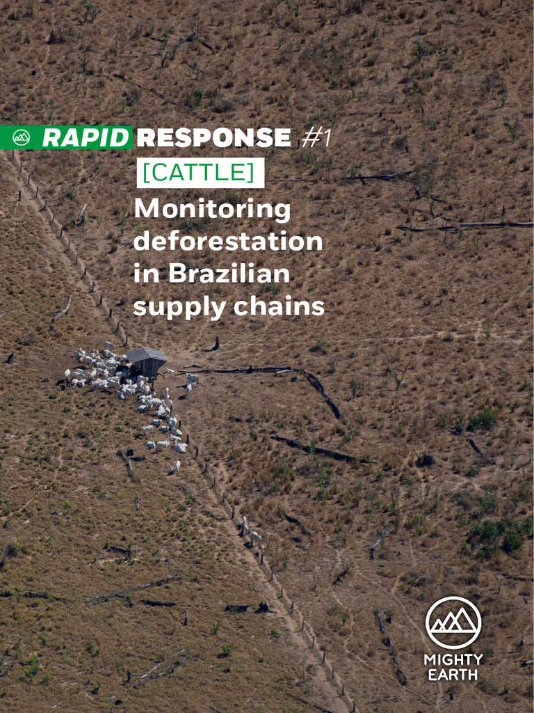 RR_Report1_VF_Mighty_8DEC_PONCE | PDF | Deforestation | Food Industry