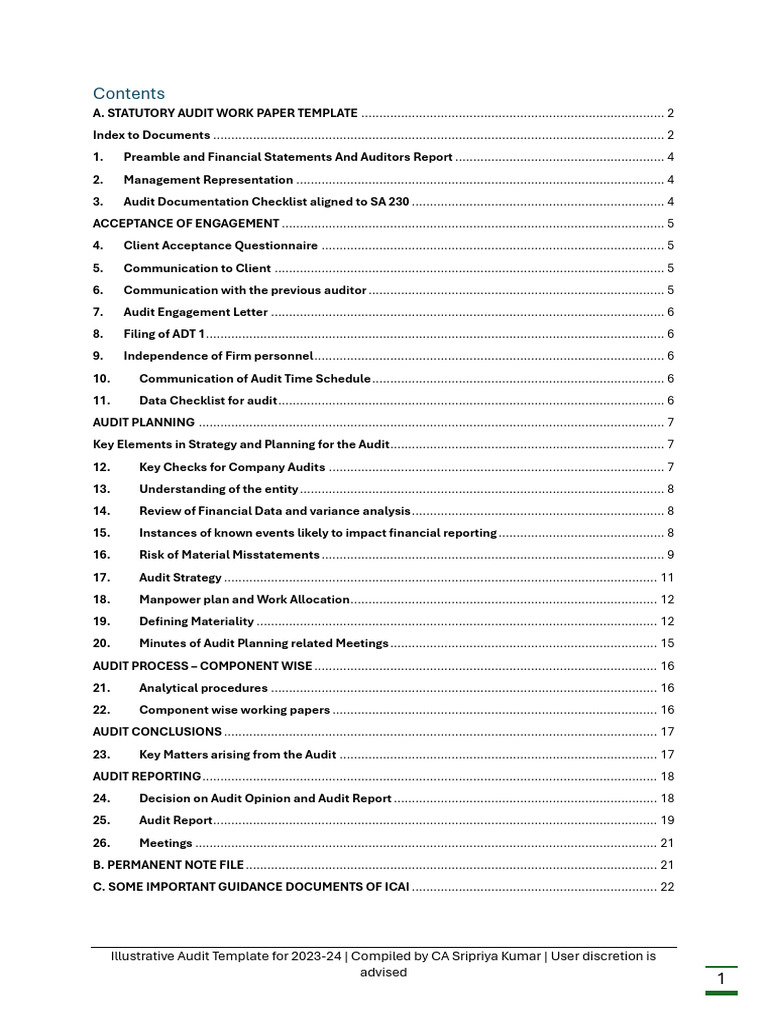 A - Comprehensive Work Paper Template | PDF | Audit | Auditor's Report