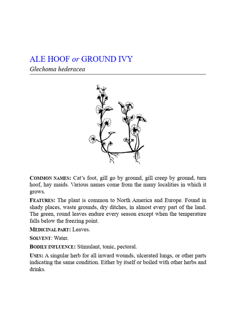 A Handbook of Native American Herbs-01 | PDF