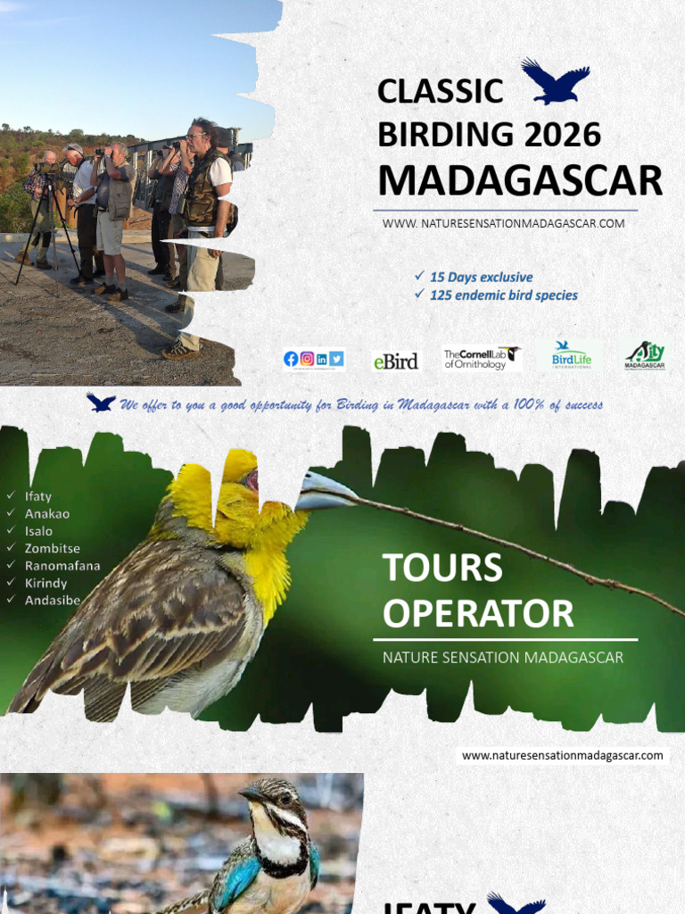 Classic Birding 2026 | PDF | Birds | Ornithology
