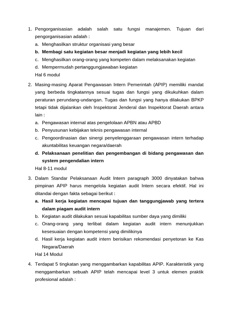 Pengorganisasian dan Audit Intern APIP | PDF