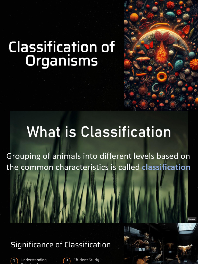 Organism Classification Explained | PDF | Eukaryotes | Cell (Biology)