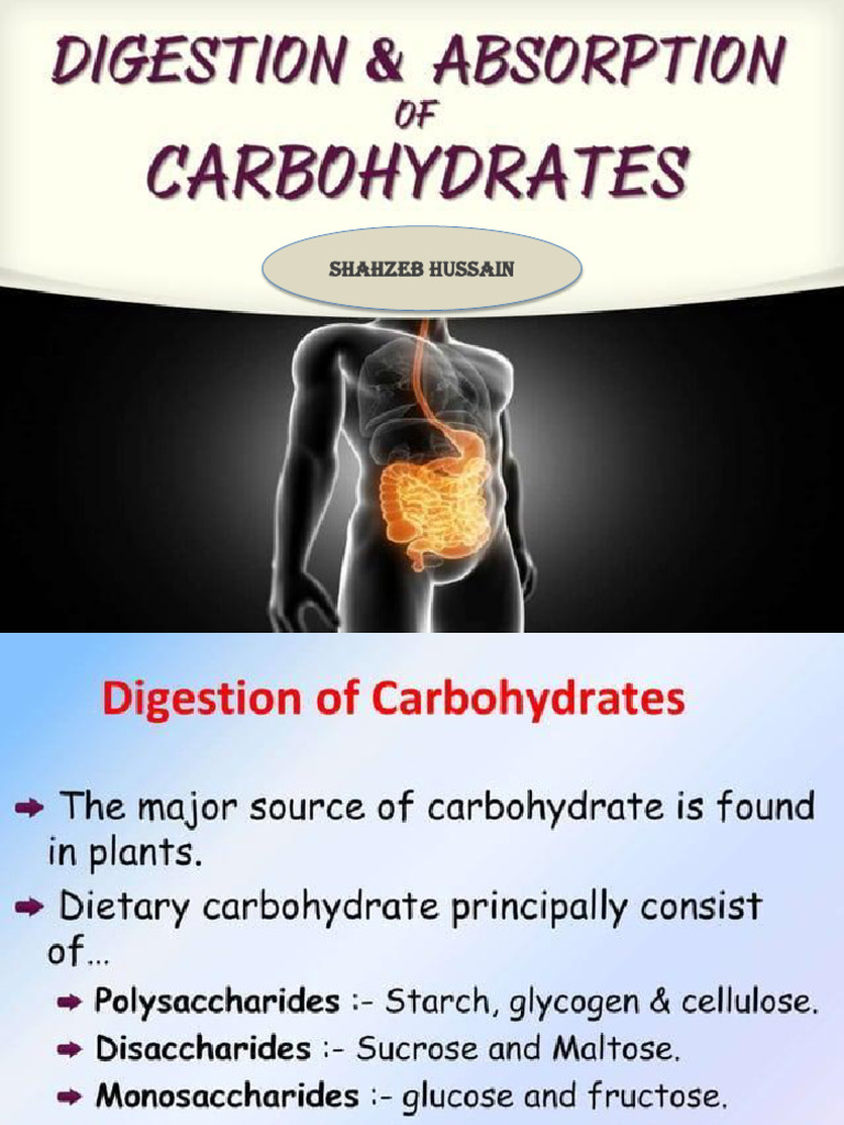 Digestion and Absorption of Carbohydrates | PDF