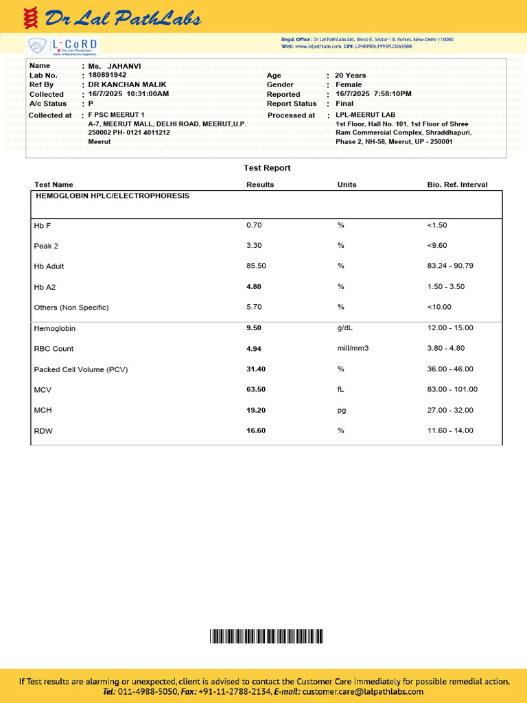 Hemoglobin and Iron Studies Report | PDF | Hematology | Analytical ...