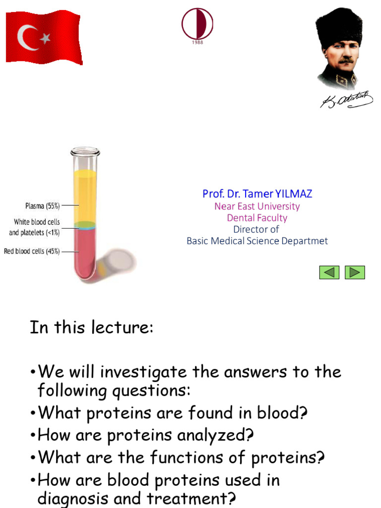 2) Blood Proteins - Prof. Dr. Tamer Yılmaz | PDF | Antibody | Blood Plasma