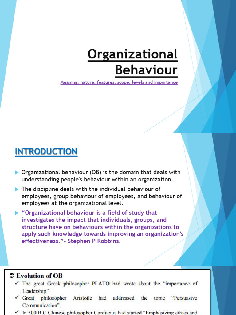 Understanding Organizational Behavior | PDF | Organizational Behavior ...