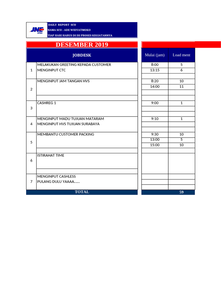 Daily Activity Report for SCO Team | PDF