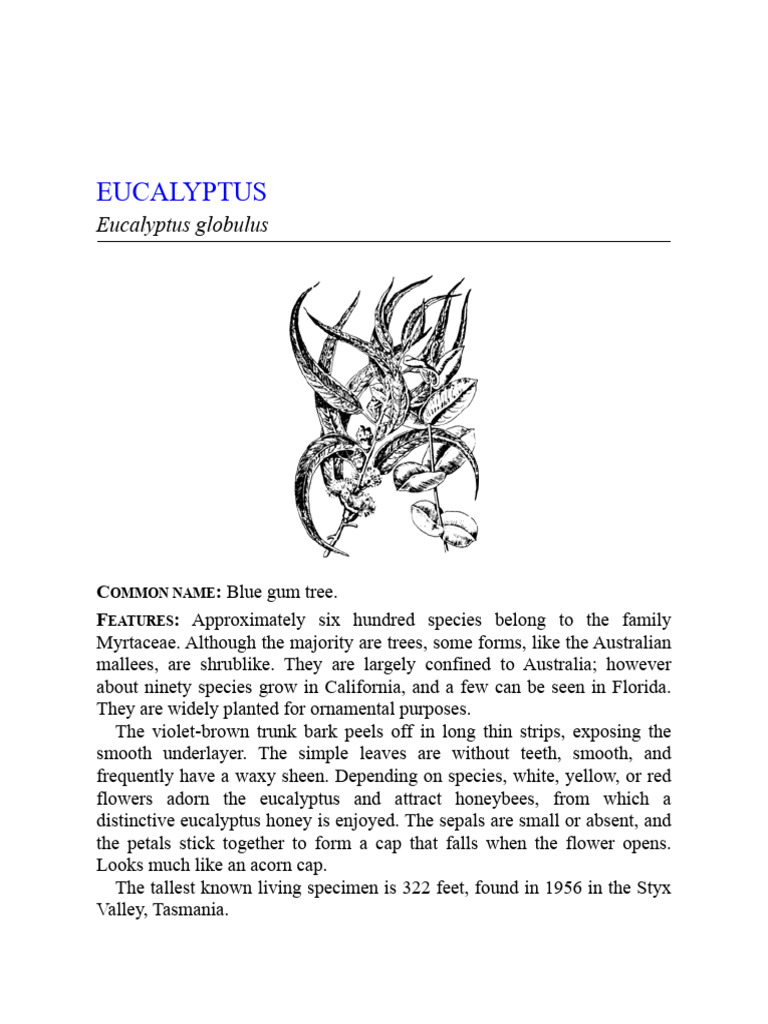 A Handbook of Native American Herbs-08 | PDF | Eucalyptus