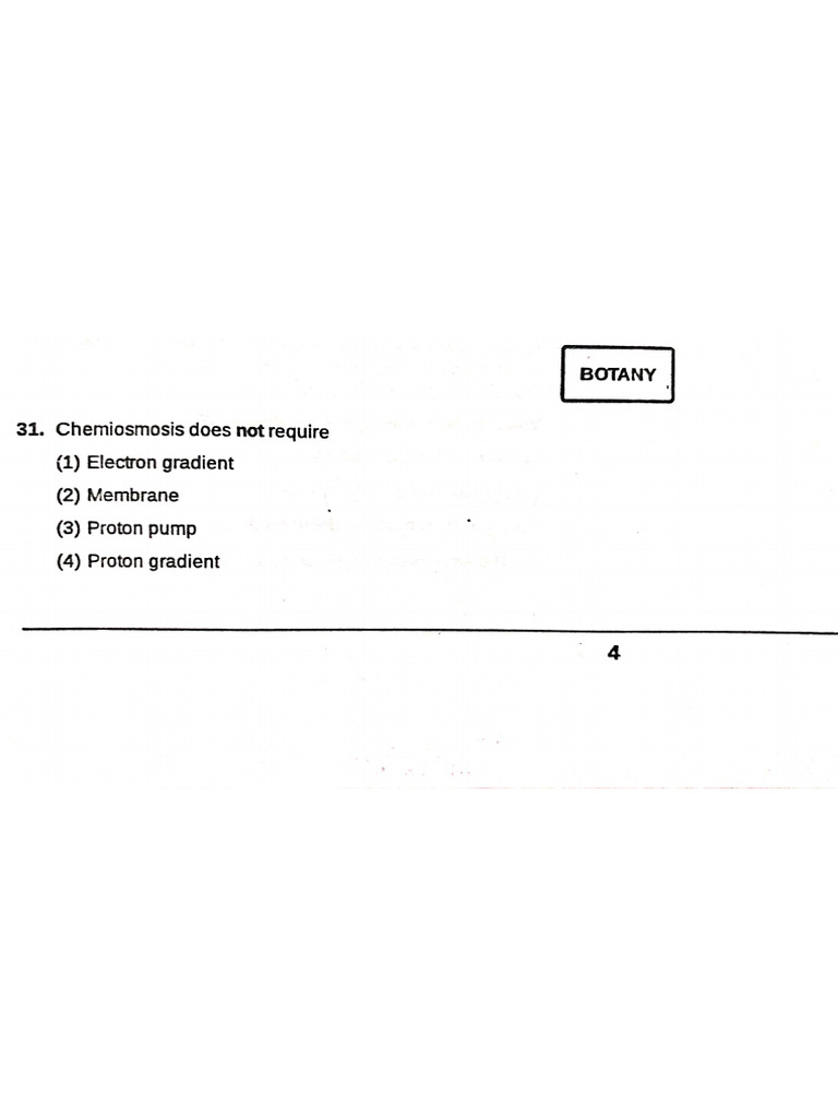 Photosynthesis Assignment 1 | PDF