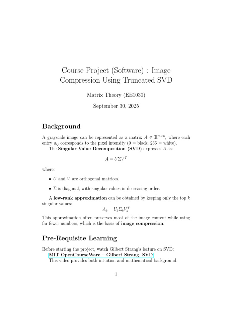 Software Assignment | PDF | Matrix (Mathematics) | Linear Algebra