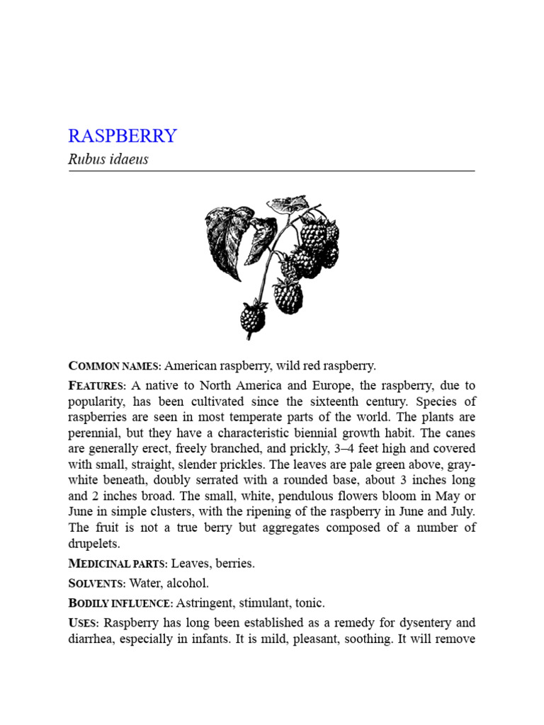A Handbook of Native American Herbs-24 | PDF | Raspberry | Clover