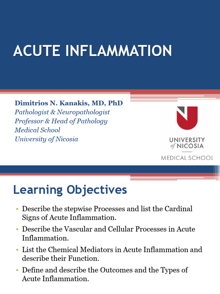 Understanding Acute Inflammation Processes | PDF | Inflammation | White ...