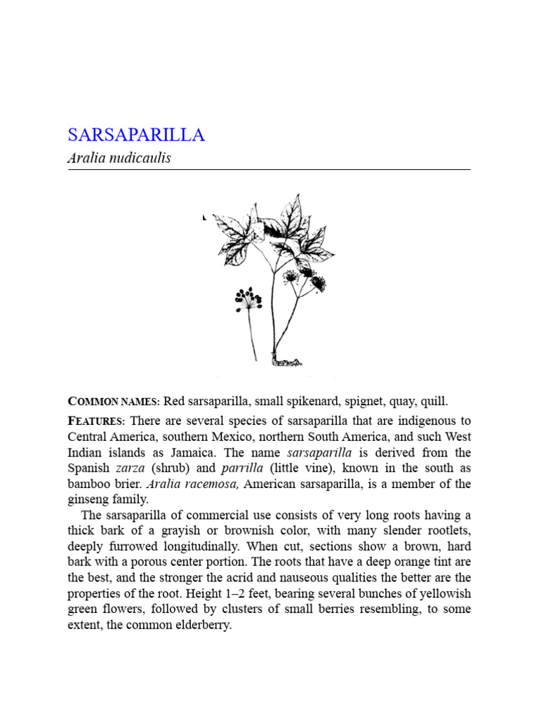 A Handbook of Native American Herbs-26 | PDF