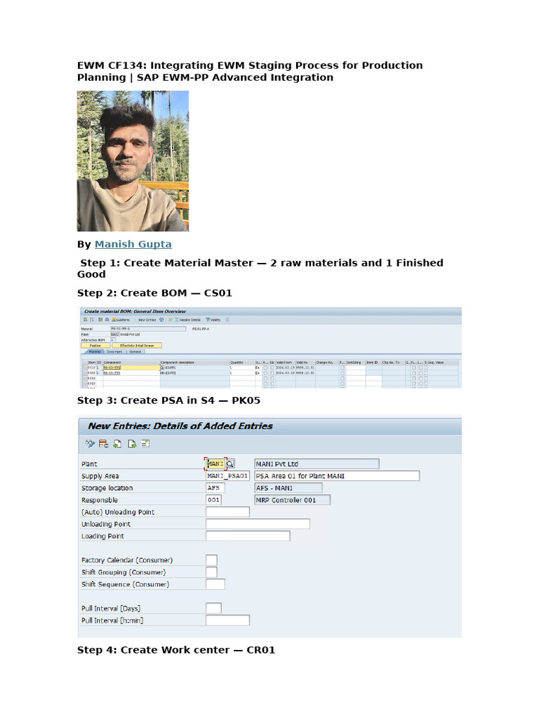 EWM CF134 Integrating EWM Staging Process for Production Planning SAP ...