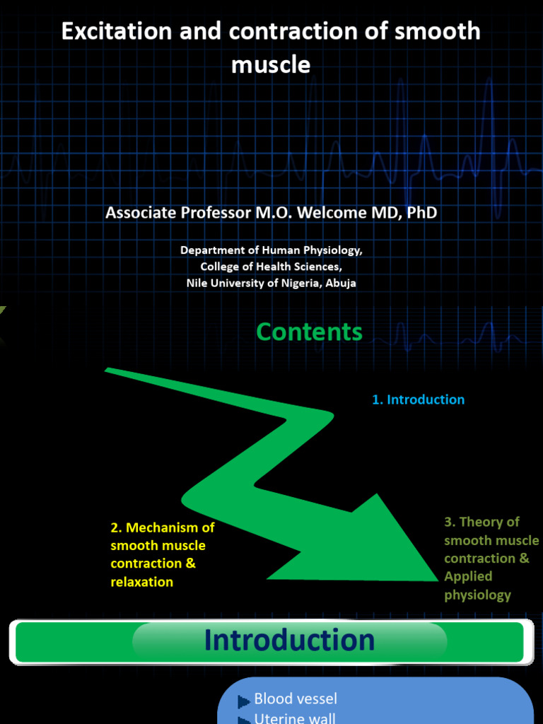 Excitation and Contraction of Smooth Muscle | PDF | Muscle Contraction ...