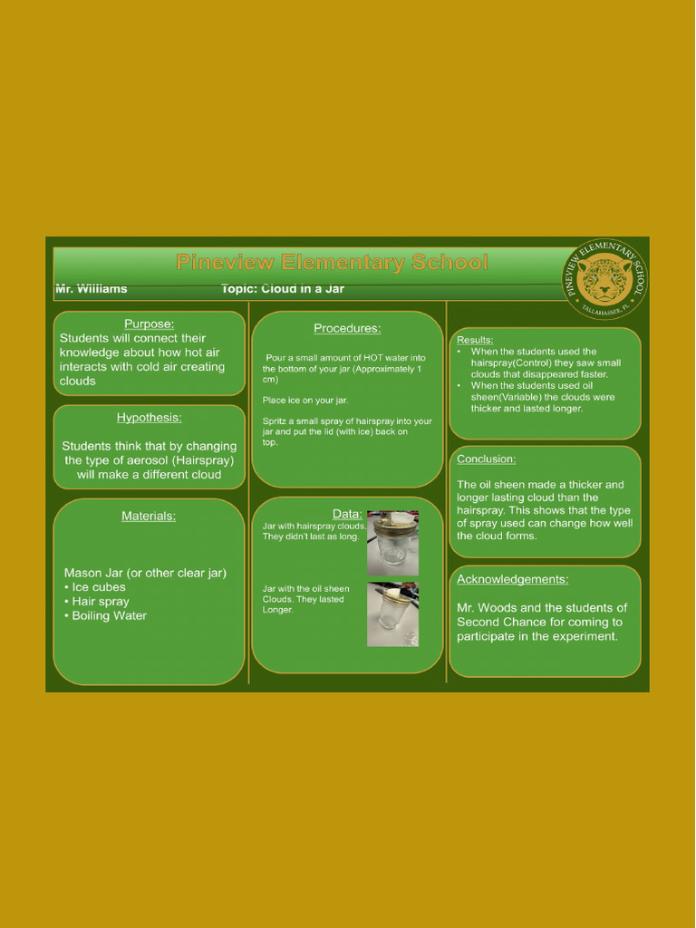 5th Projects | PDF