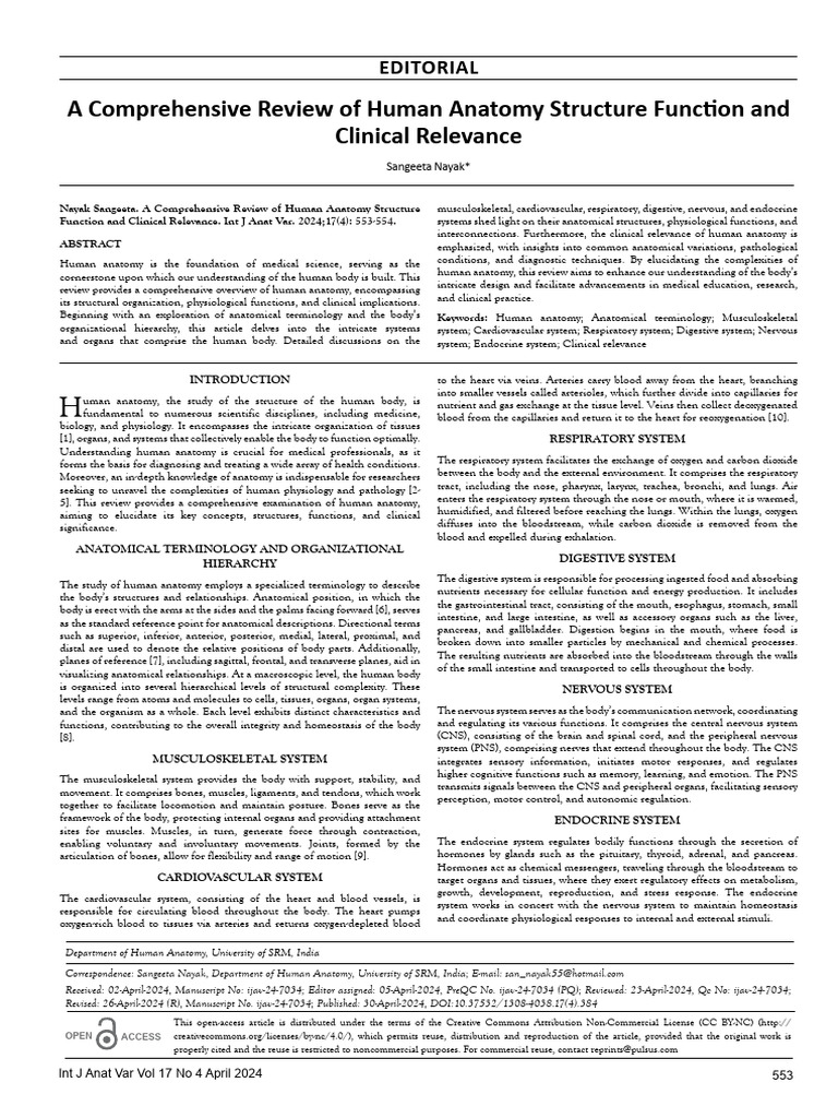 Comprehensive Human Anatomy Review | PDF | Human Body | Central Nervous ...