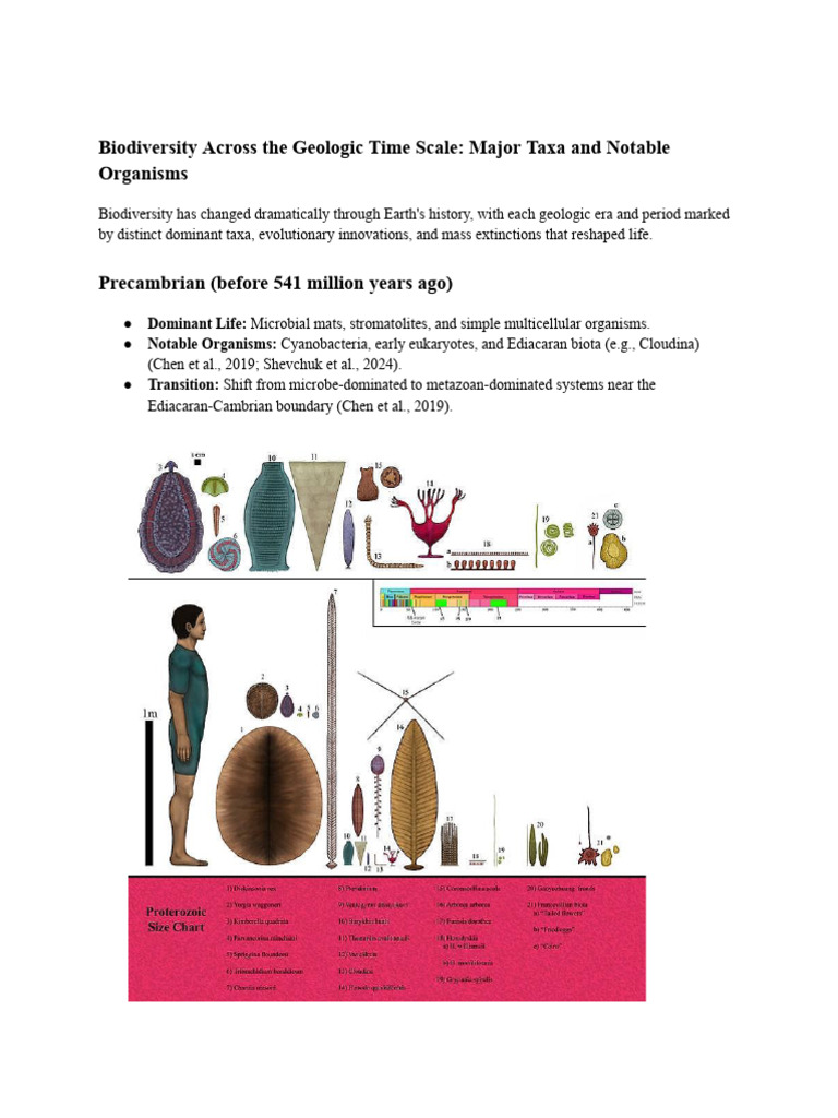 Biodiversity Through Geologic Eras | PDF | Geology | Nature