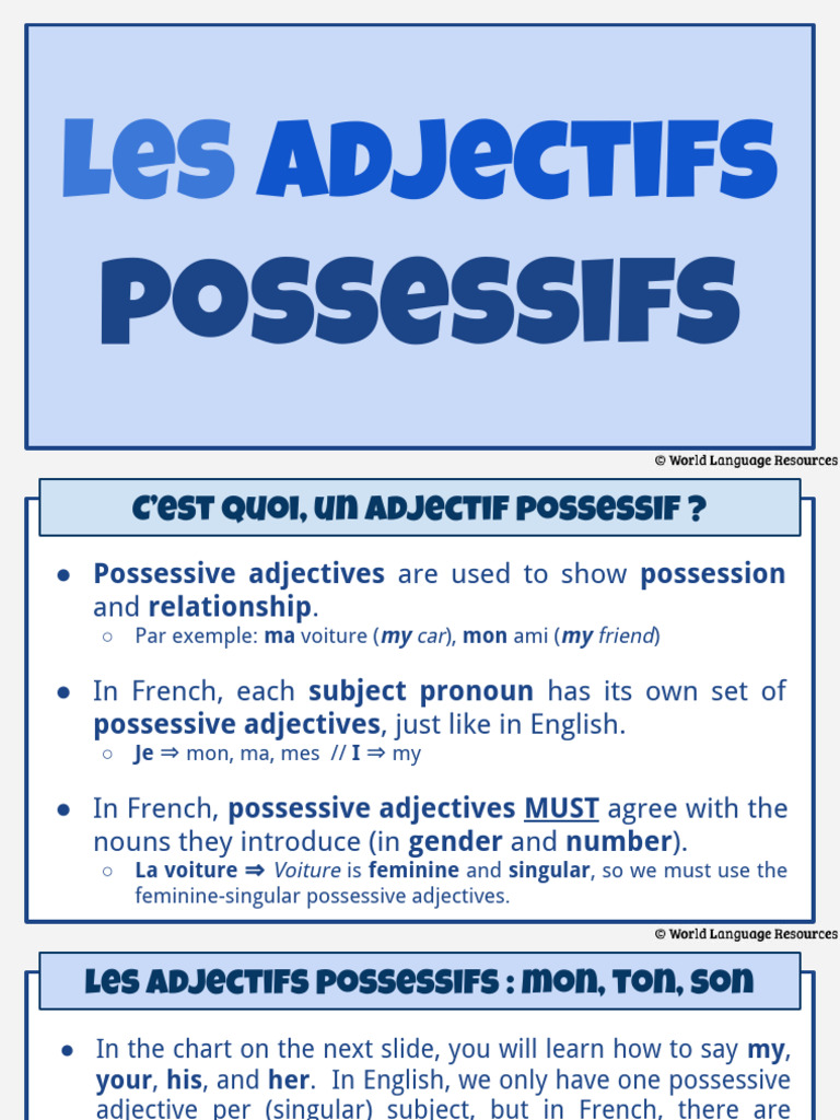 French Possessive Adjectives | PDF | Grammatical Gender | Grammatical ...