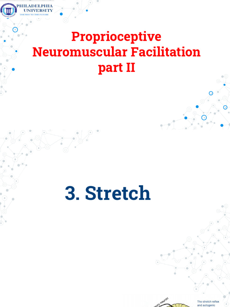 5 PNF 2 | PDF | Neuroscience | Musculoskeletal System
