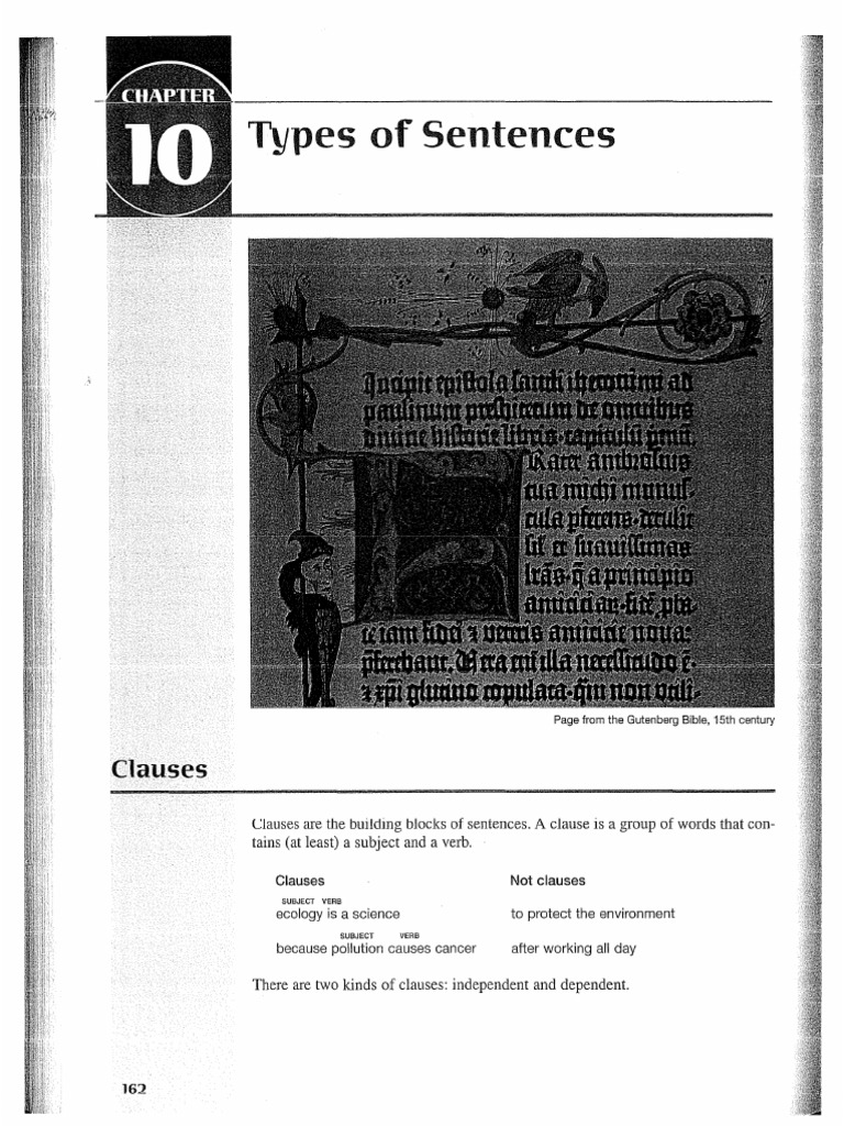 Chapter 10 - Types of Sentences | PDF