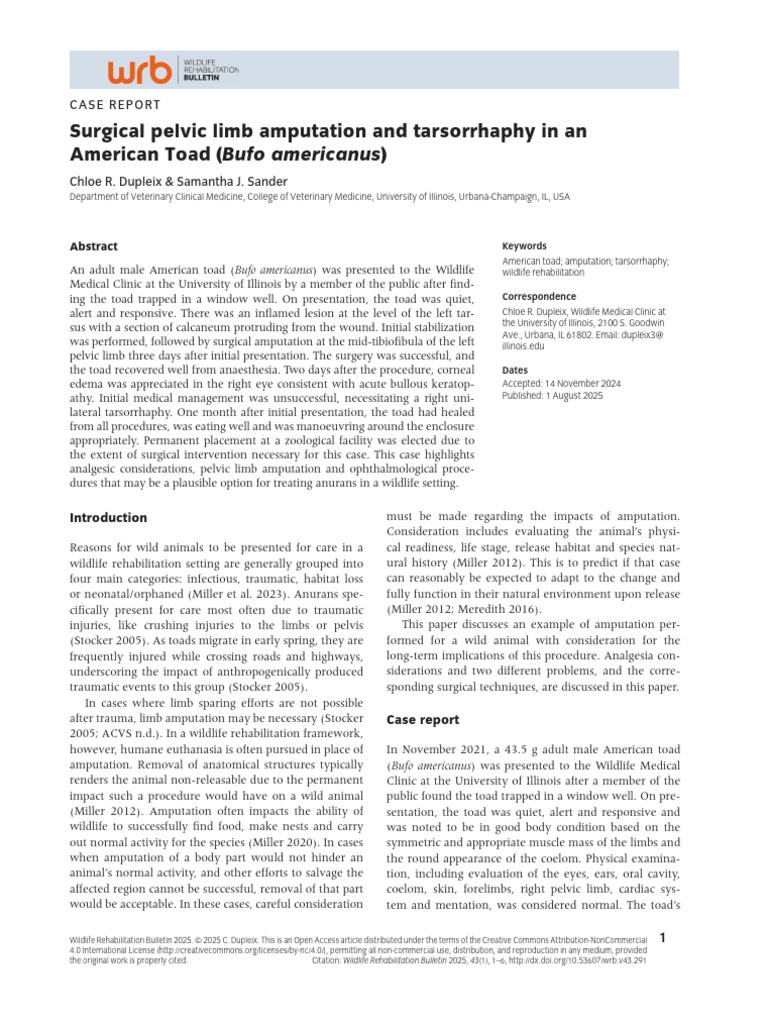 Amputation Case Study: American Toad | PDF | Amputation | Frog