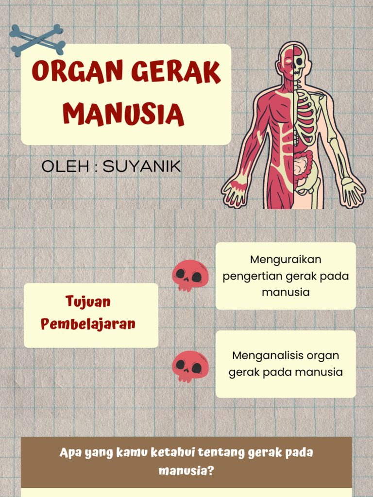 Suyanik 2 Presentasi Organ Gerak Manusia | PDF