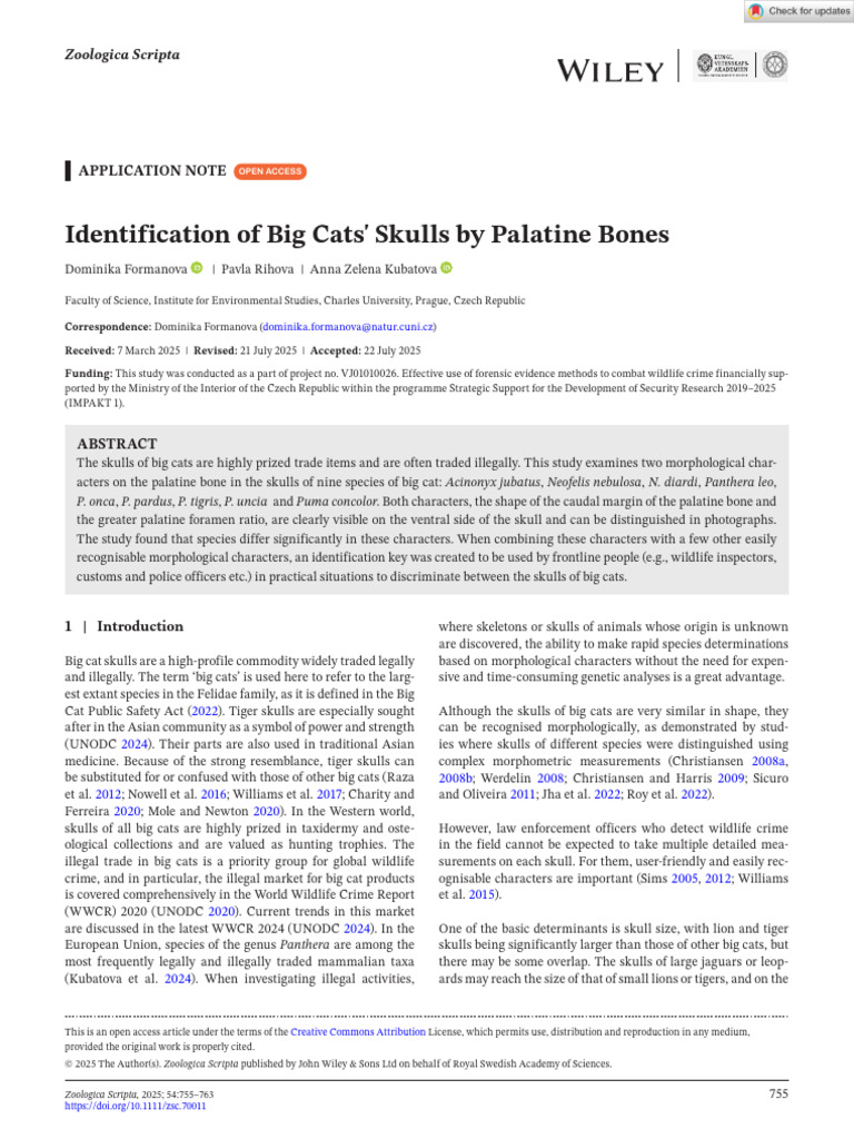 Identification of Big Cats Skulls by Palatine Bones | PDF | Panthera ...