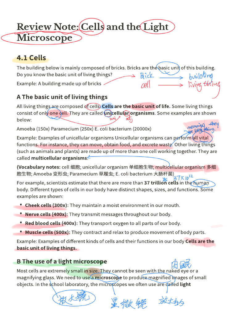 Review Note: Cells and The Light Microscope | PDF