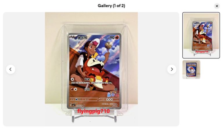 Pokémon TCG Exclusive Chinese Horizon Roy & Fuecoco CBB1C 0309 Holo ...