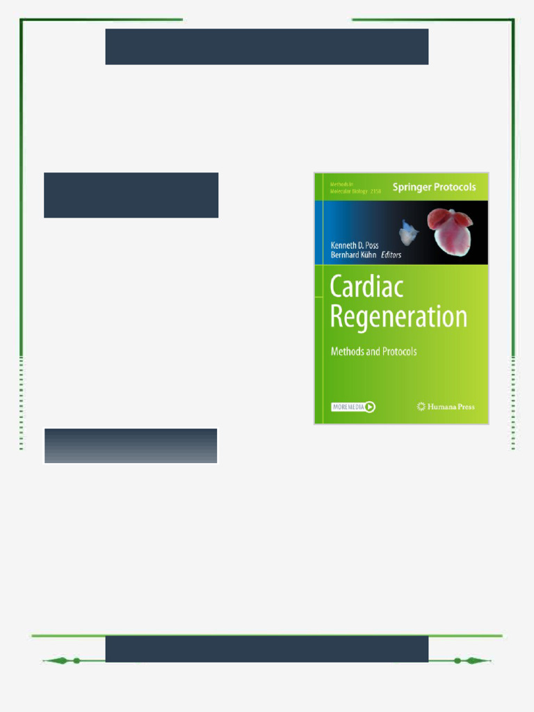 Cardiac Regeneration Methods and Protocols Methods in Molecular Biology ...