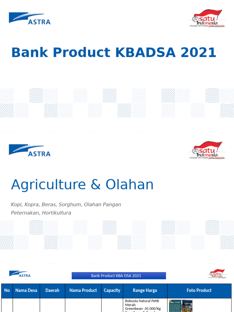 Bank Product KBA DSA 2021 - BKP YGL MFA | PDF