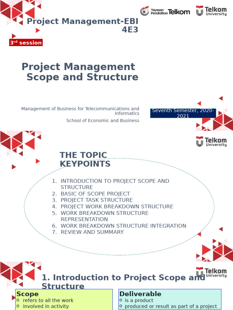 Week 3 Project Scope and Structure | PDF | Computing