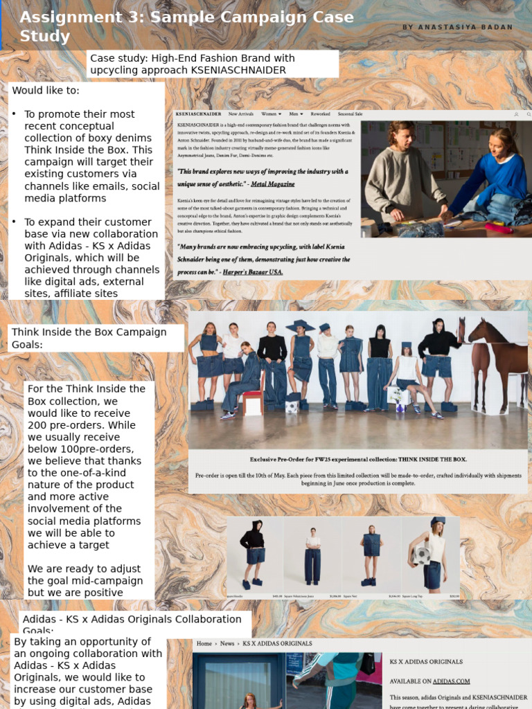 Digital Analytics and Insights Final Assignment_Anastasiya Badan | PDF | Computing | Cyberspace