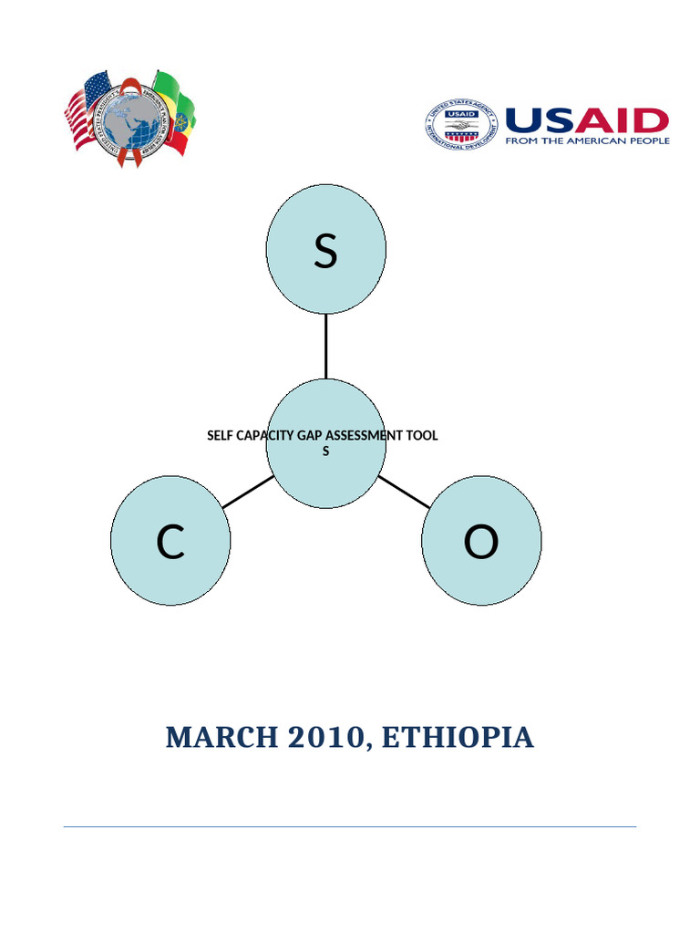 Capacity Assessment Tool 19MAR2010 (1) Tim Final | PDF | Budget | Expense