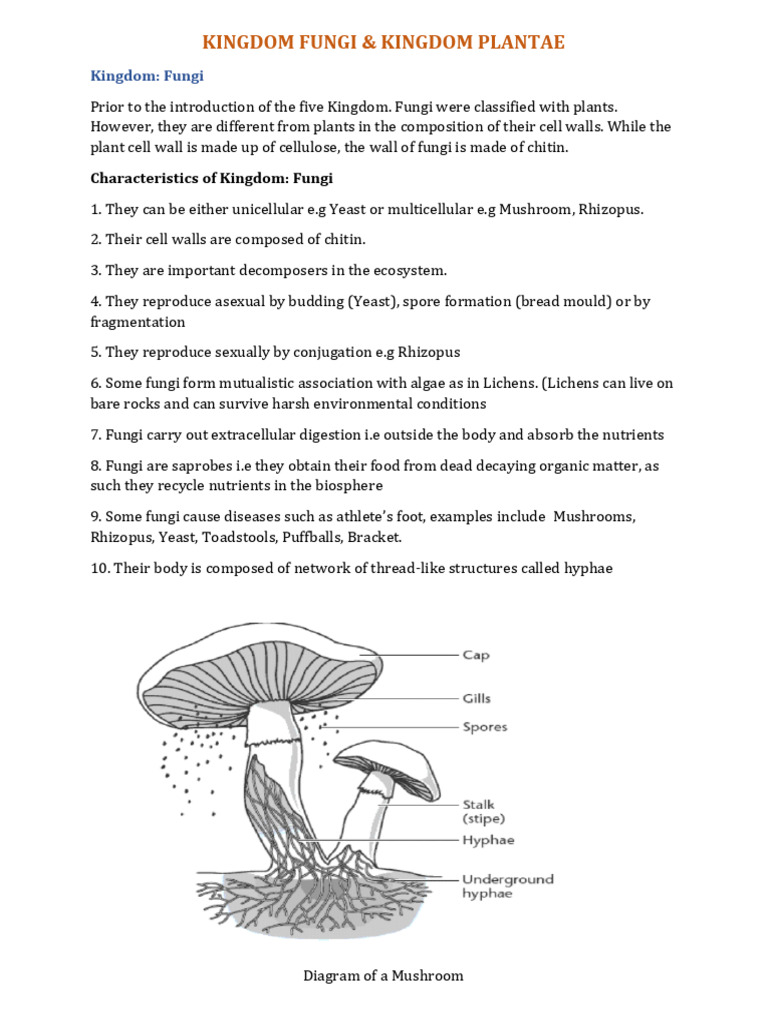 1.1.5 KINGDOM FUNGI | PDF | Fungus | Fern