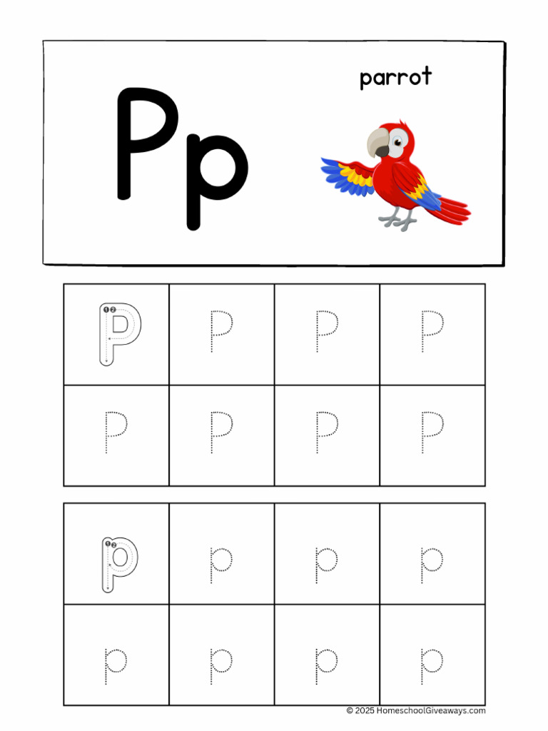 Letter P Parrot Tracing Worksheet | PDF