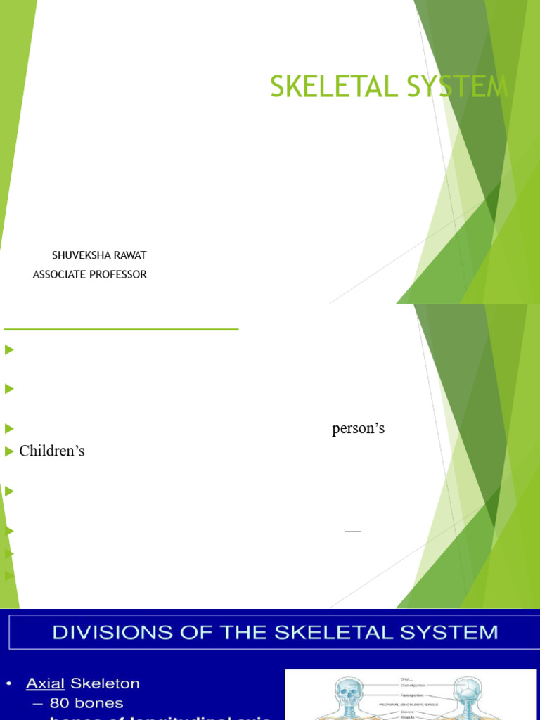 UNIT 2 part two skeletal system | PDF | Skeleton | Vertebra