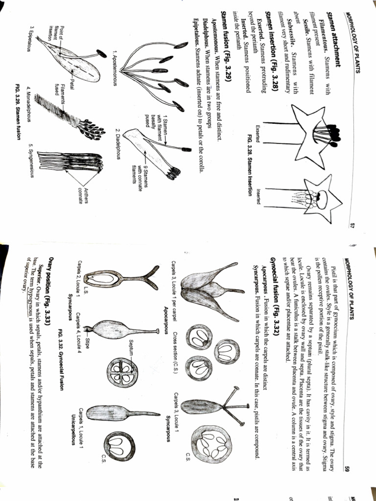 Breeding of plant | PDF