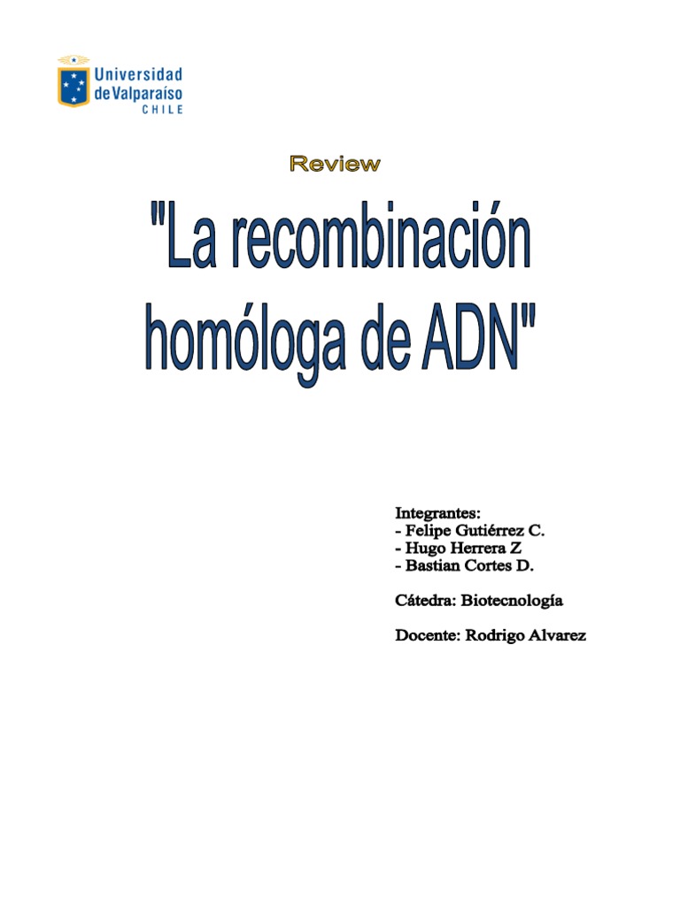resumen recombinacion homologa | Recombinación genética | ADN