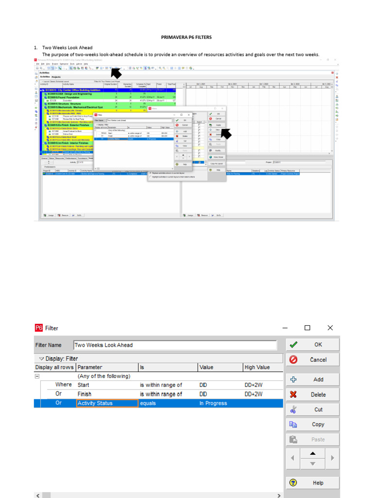Primavera P6 Filters Guide | PDF